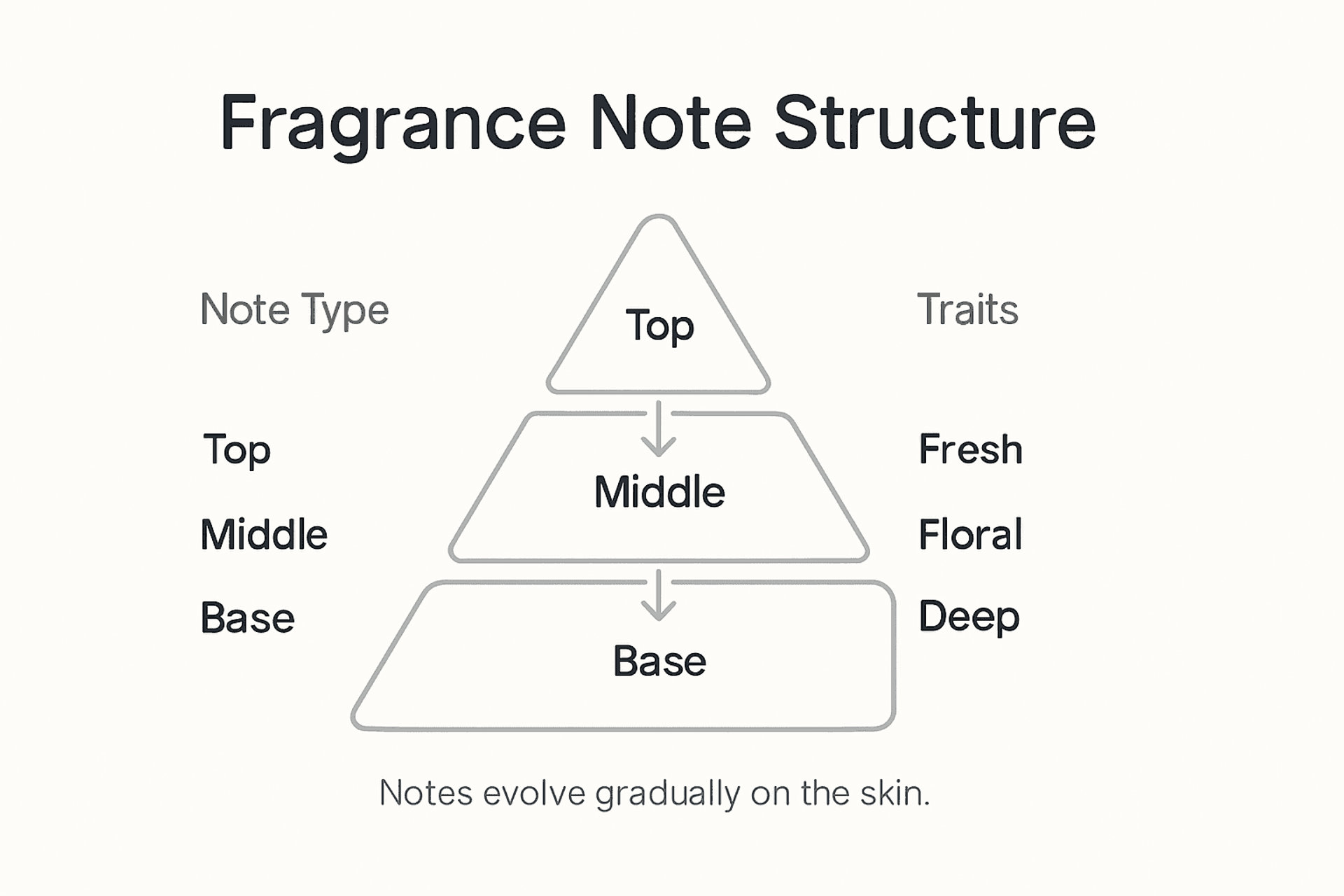 Why Use Fragrance Notes – Impact on Scent Choice