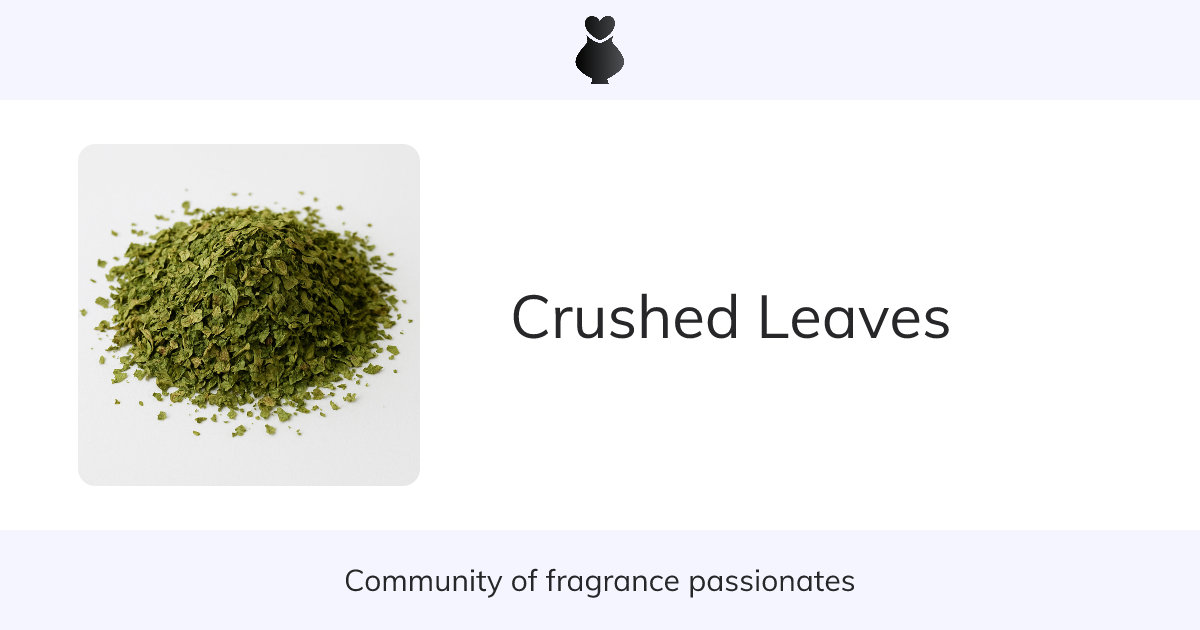 Crushed Leaves Note