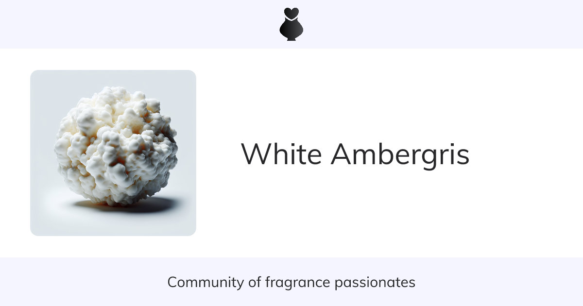 White Ambergris Note